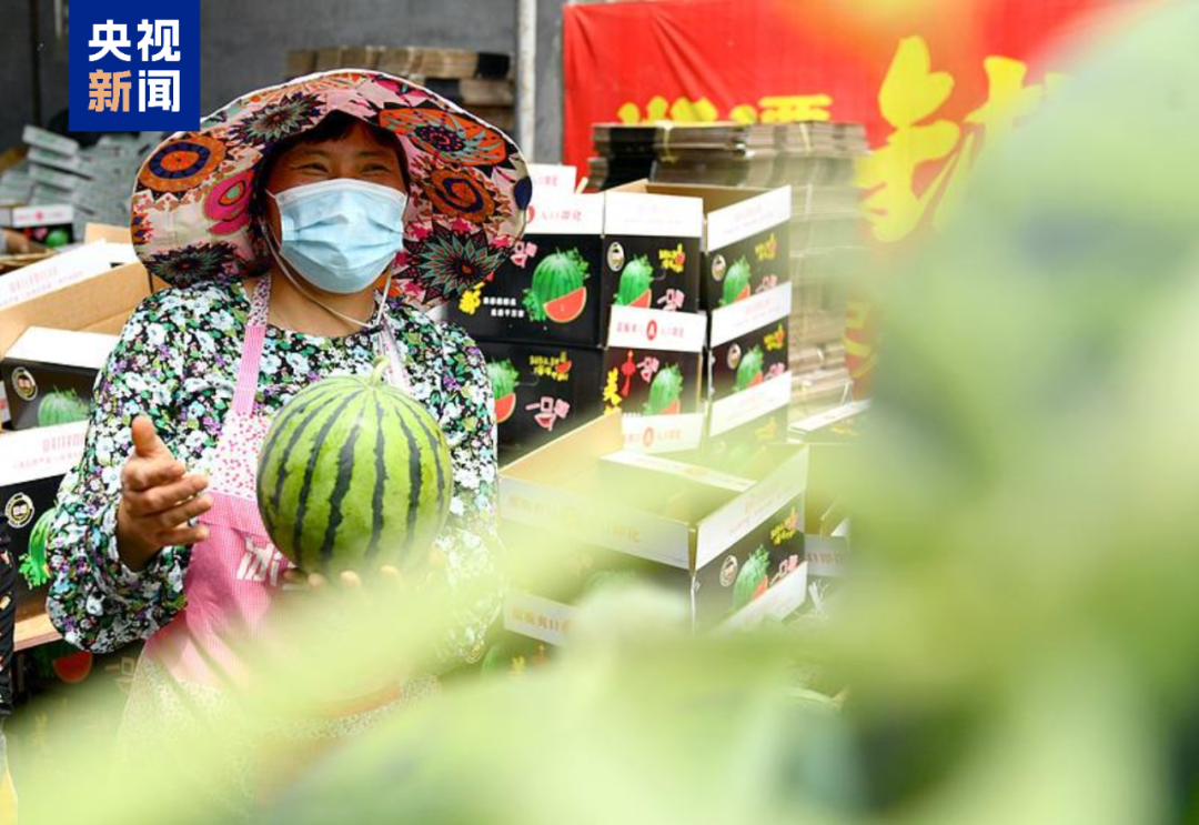 拍拍西瓜就能月入过万？这类人才很抢手_国内新闻_社会万象_十堰秦楚网 十堰新闻门户网站 十堰主流新闻媒体